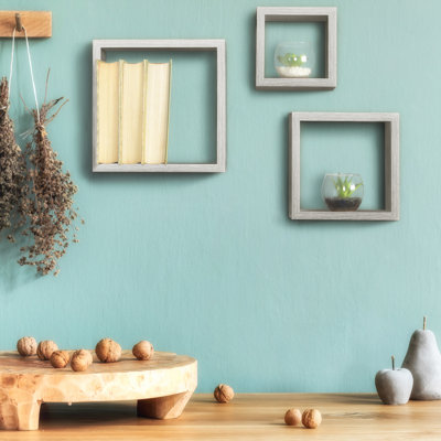 Shallow display shelves store